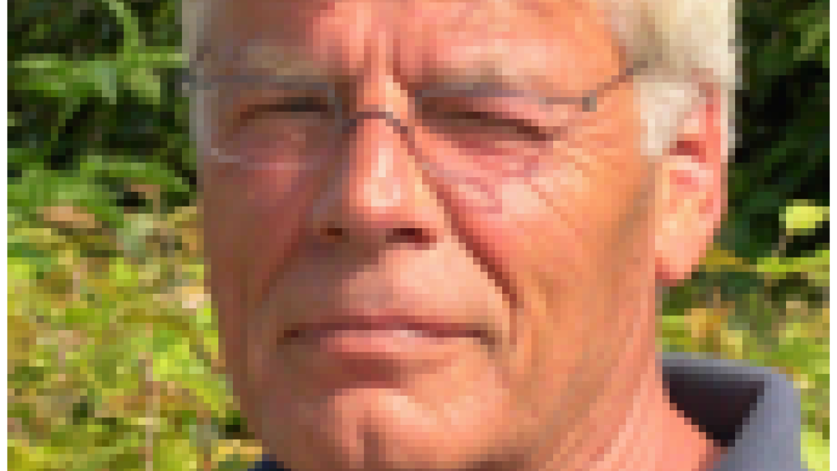 Professor Kees Dik | ECVDI